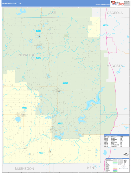 Newaygo County, MI Carrier Route Wall Map Basic Style by MarketMAPS