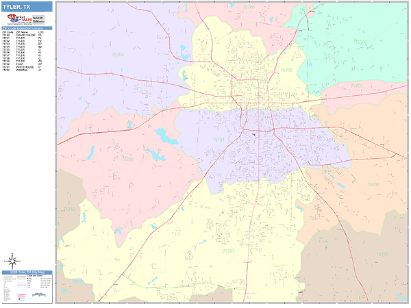 Tyler Texas Wall Map (Color Cast Style) by MarketMAPS
